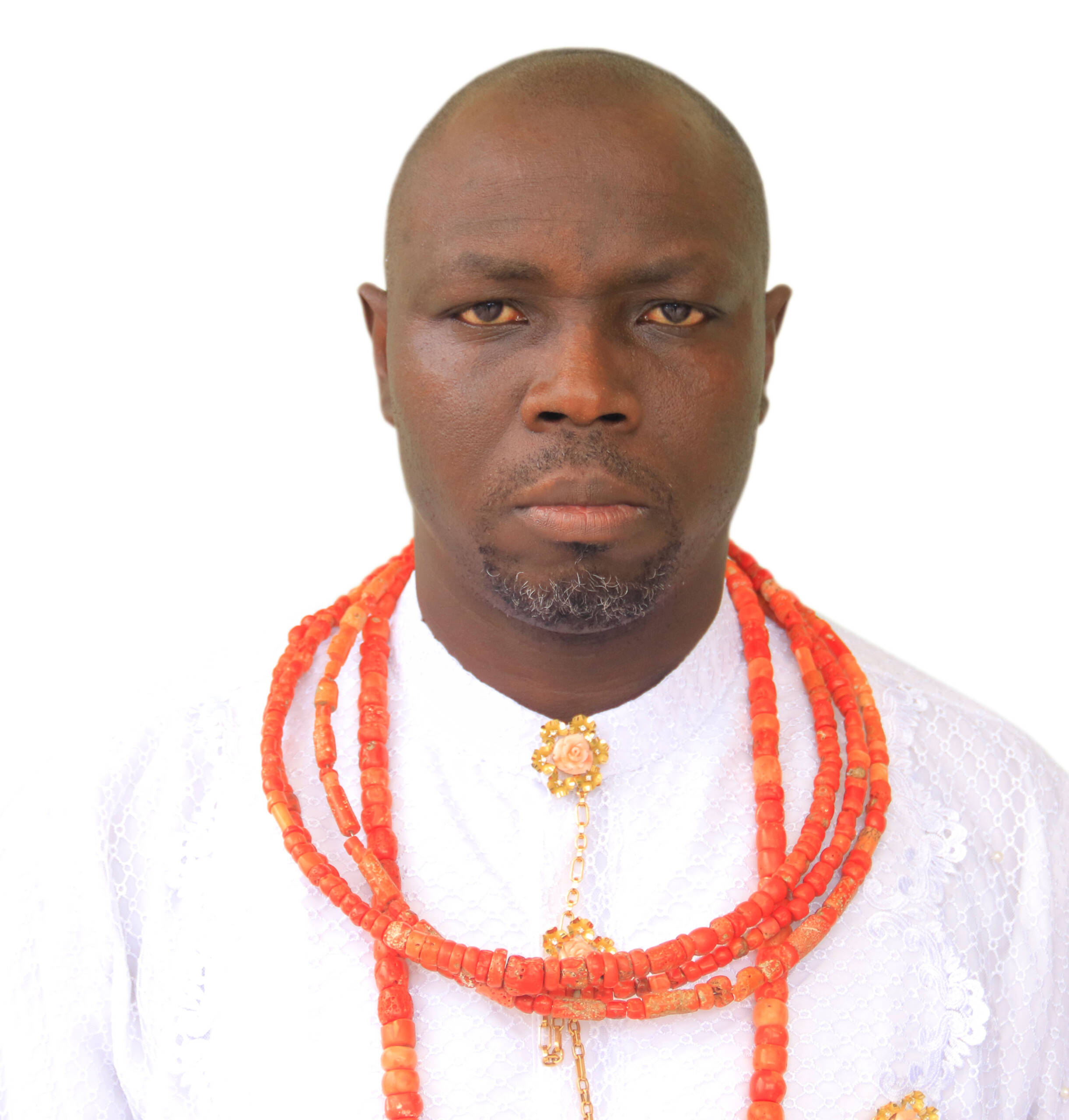 High Chief (Engr.) Kestin Ebimorbowei Pondi – (FNIIS, FNSE) – Tantita Security Services Nig. Ltd.